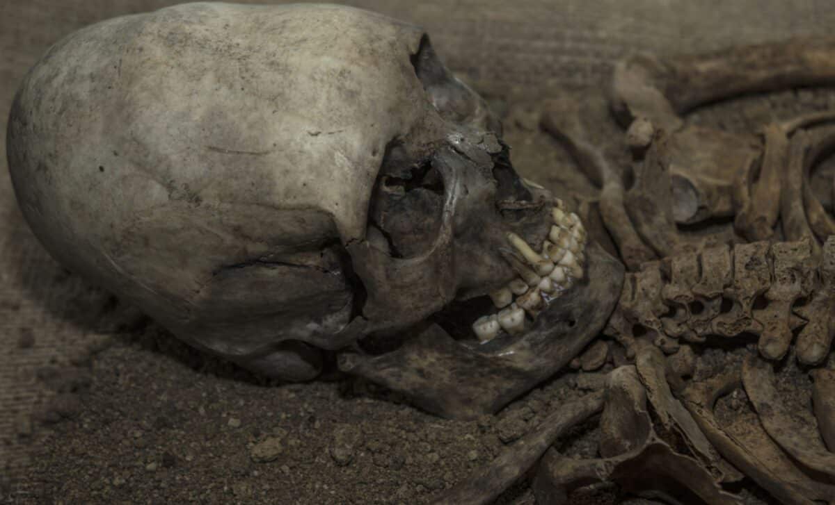 They ground a 2,000-year-old skull into powder to find answers. It didn ...