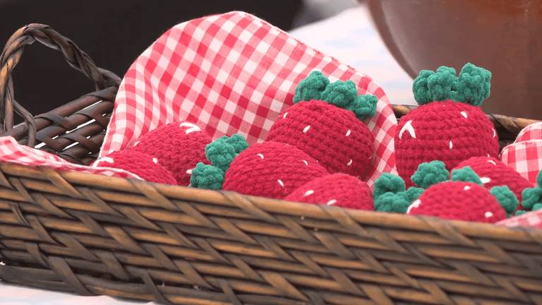 Photos: Weber’s Farm Strawberry Festival marks 10 sweet years of family fun