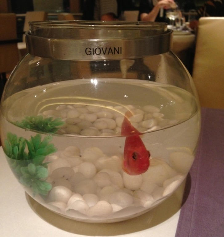 13 real business trip stories that prove work travel collects more ...