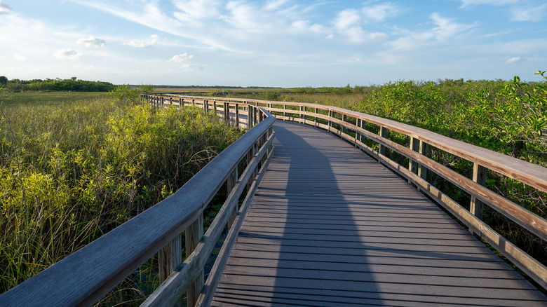 The most scenic trails in Florida (from serene boardwalks to jungle ...