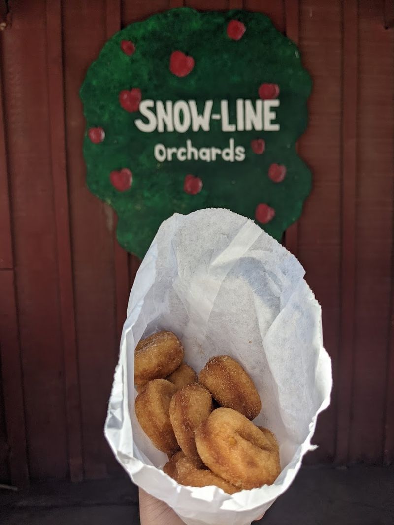 The California mountain orchard where famous mini apple cider donuts ...