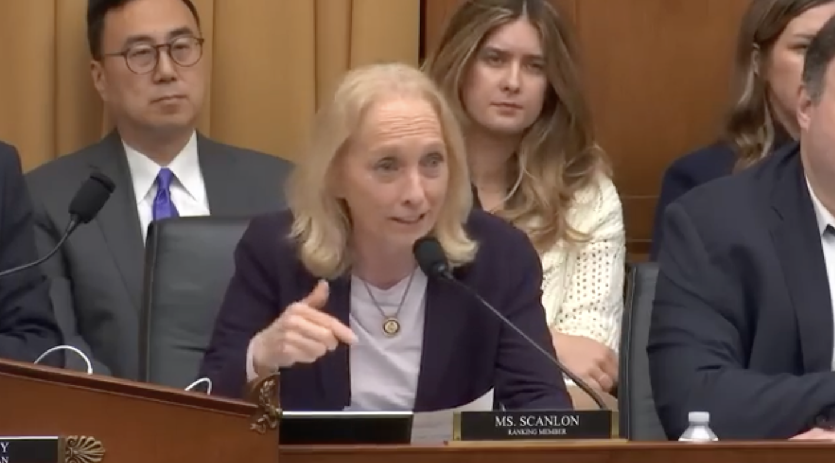 'Really gross misstatements of facts': Rep. Mary Gay Scanlon scolds ...