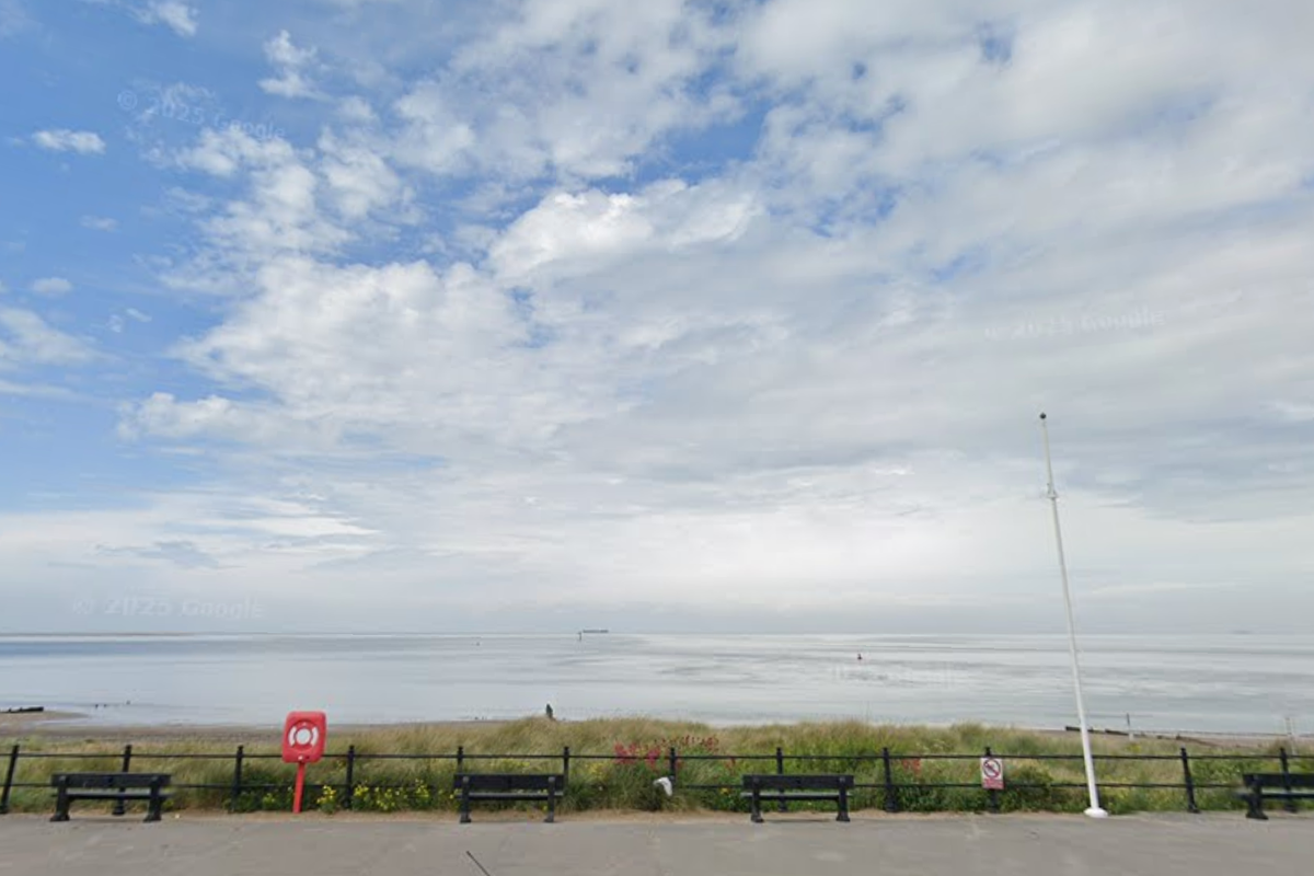 Woman dead and man in hospital after attempting to rescue dog from sea