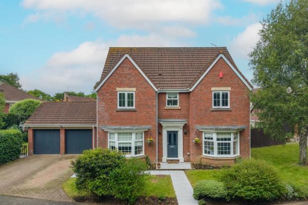 Newport home with stream running through back garden goes on the market