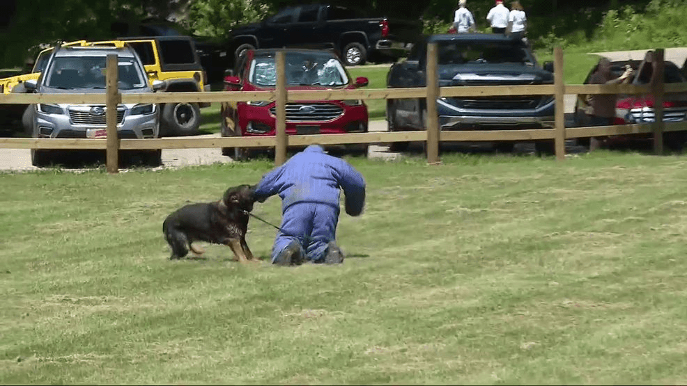K-9 demonstration from Jackson County deputies takes center stage ...