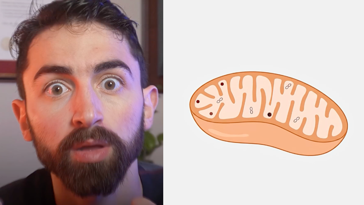 Dr. Nick Norwitz explains why everyone is talking about MOTS-c