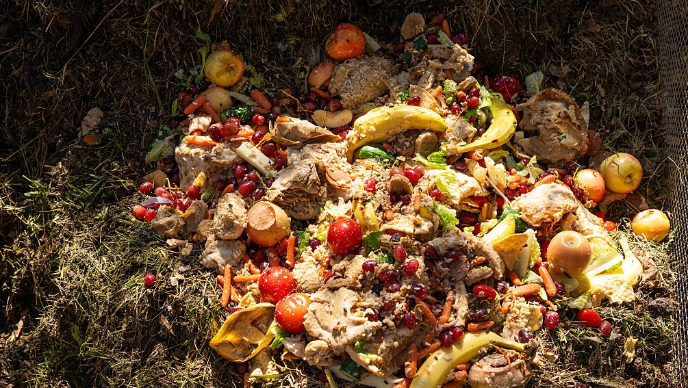 Small space hacks to cut food waste