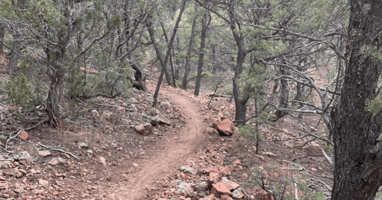 Skip the hike - this New Mexico mountain biking trail is even better