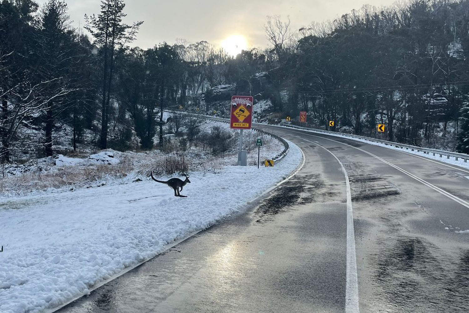 Aussie drivers warned over hazard at dawn and dusk after 1,250 crashes ...
