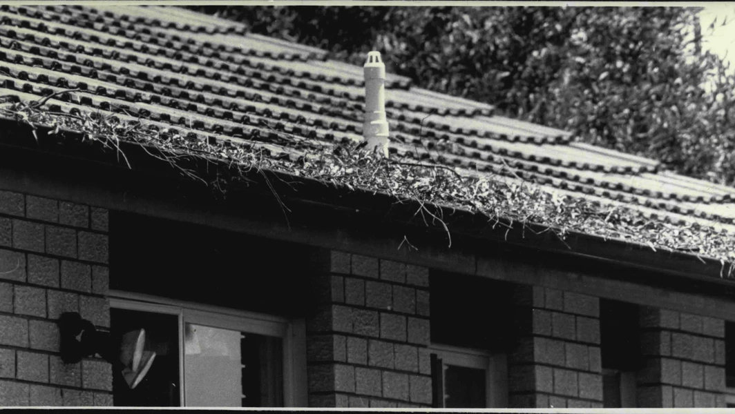 LeafFilter named best gutter guard of 2026 after testing
