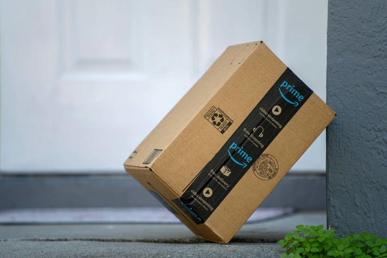 Amazon’s $25 climbing rope adds a fun vertical space for active cats