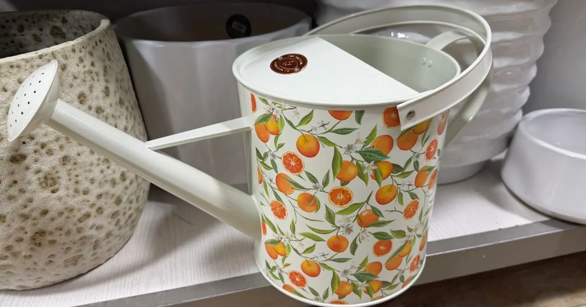16 little luxuries to snag at HomeGoods this June