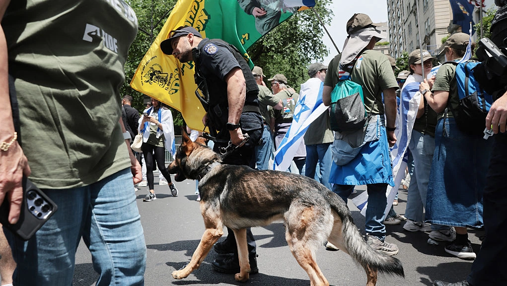 Record crowds and security mark Israel Day Parade