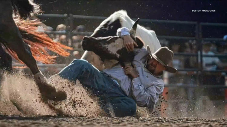 Rodeo rides into Minneapolis