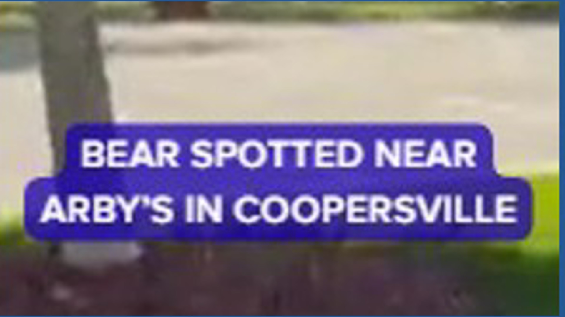 Bear spotted near the Arby's in Coopersville