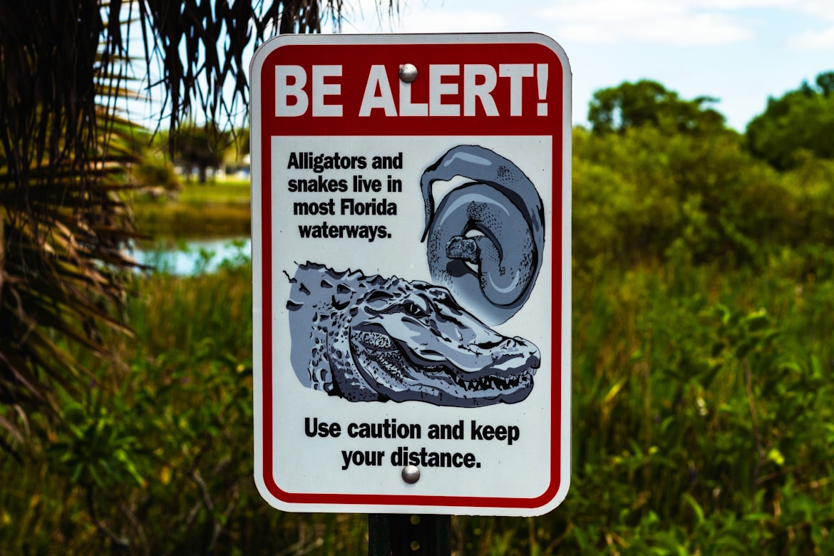 Bizarre news headlines that prove live television in Florida is on a ...