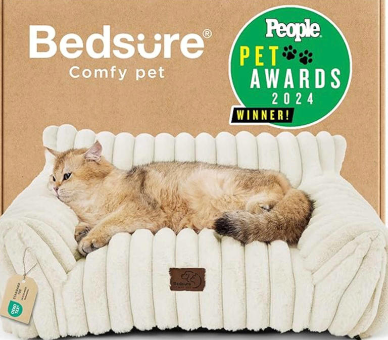Amazon’s award-winning cat sofa is perfect for tiny couch potato kitties