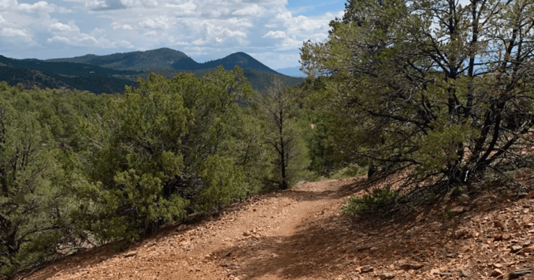 Skip the hike - this New Mexico mountain biking trail is even better