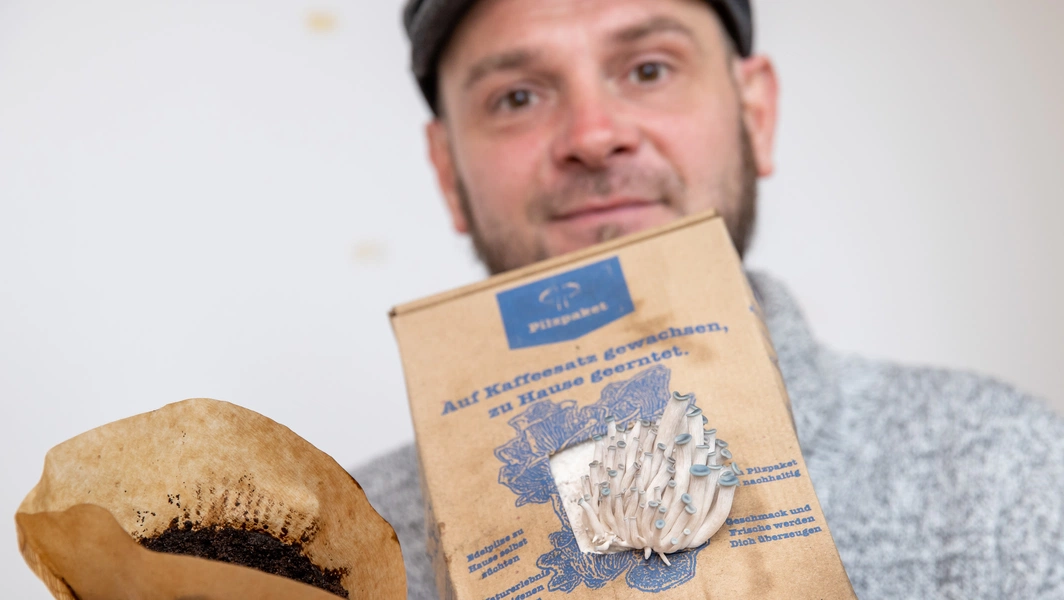 1 Clever Uses for Coffee Filters