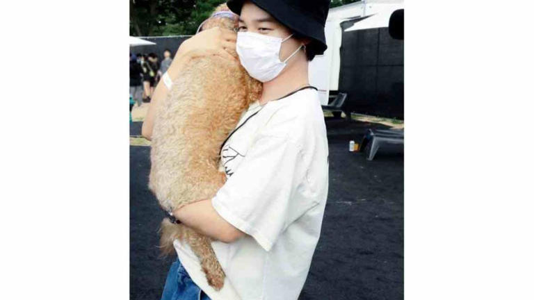 Conoce a Stoney, el 'octavo' integrante de BTS con cuatro patas que les ...