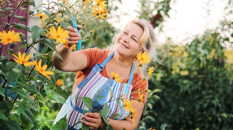 15 flowering companion plants that can ward off pests from garden cucumbers