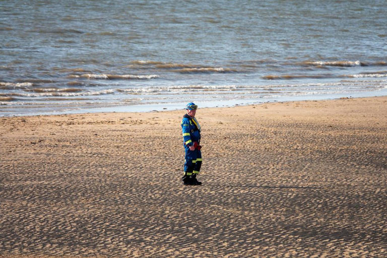 Woman dies and man in critical condition after entering sea to rescue ...