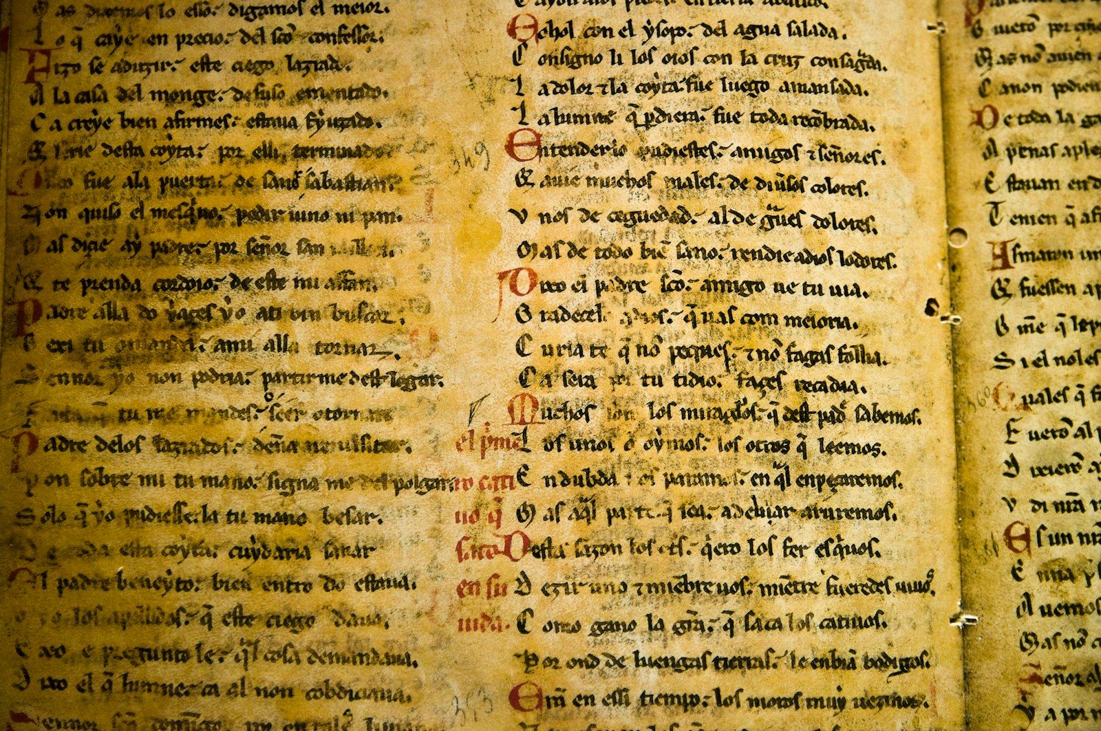 New AI analysis of the world’s most mysterious manuscript