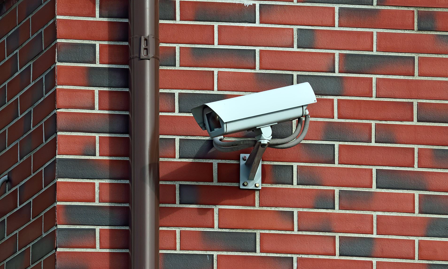 Police manhunts could take minutes with AI that scans CCTV for suspects