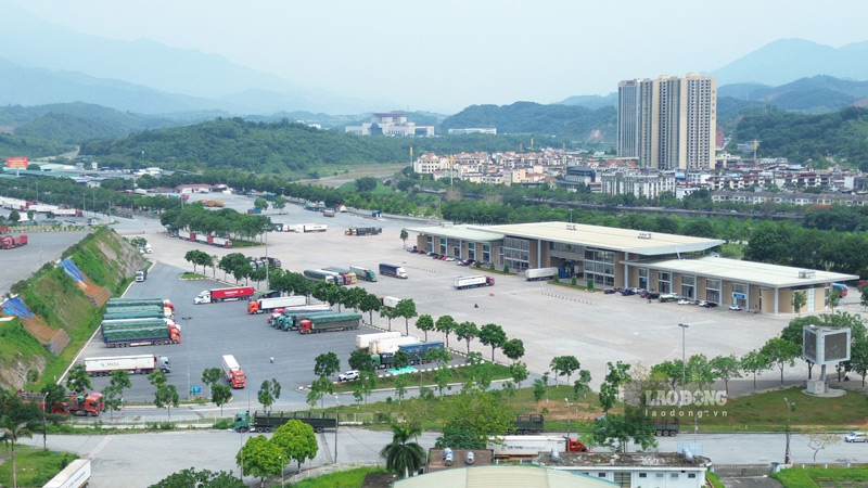 5 tháng đầu năm, Lào Cai thu ngân sách hơn 9.600 tỉ đồng