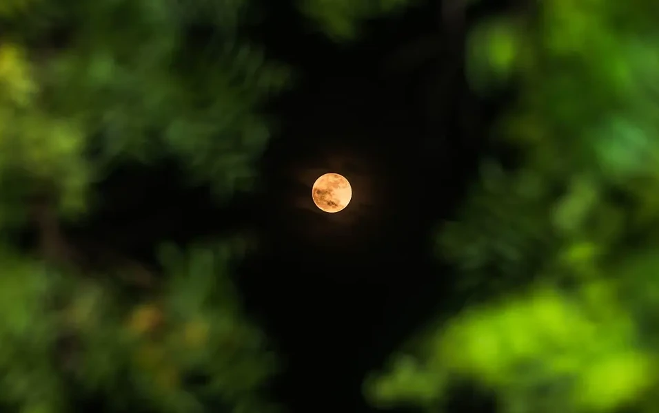 Blue micromoon to light up Australian skies tonight