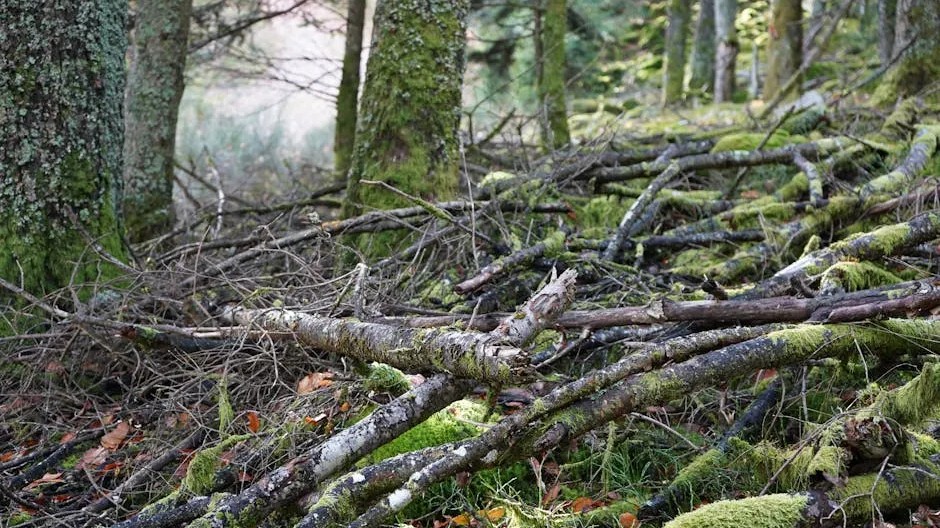 How to build a simple, affordable trellis system using fallen tree branches