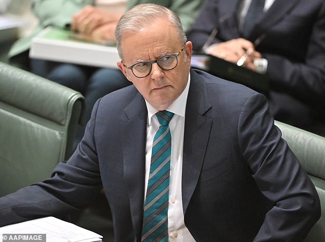 Pauline Hanson declares she could do Anthony Albanese's job