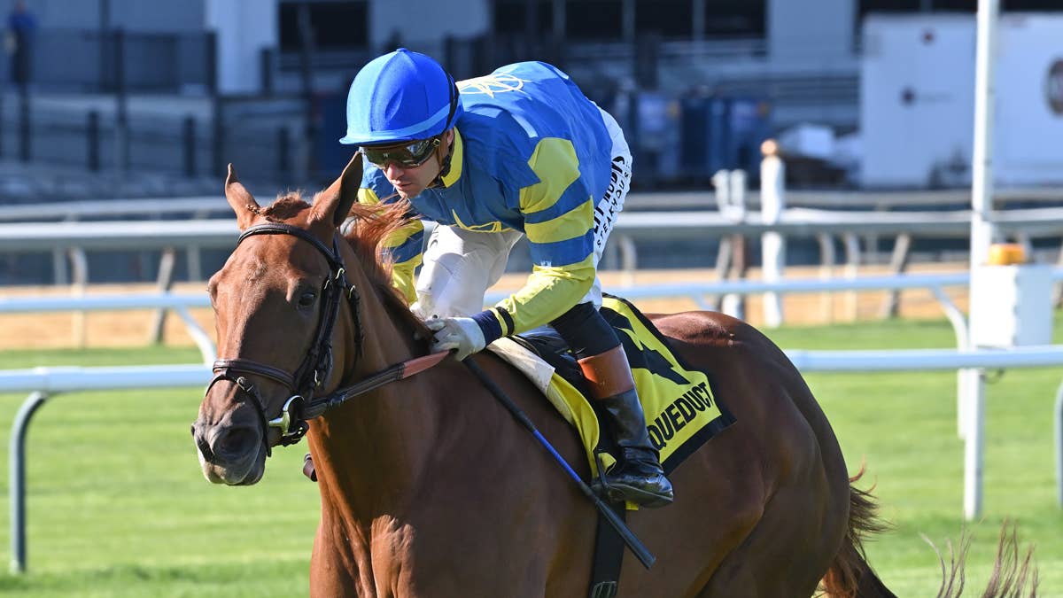Chad Brown double-handed in pursuit of Seventh Wonder again victory