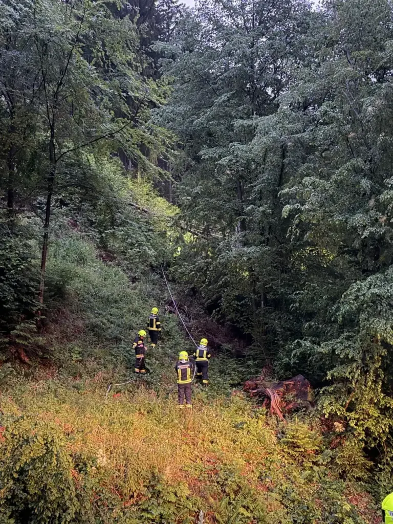 Baum stürzte auf Stromleitung: Waldboden fing Feuer