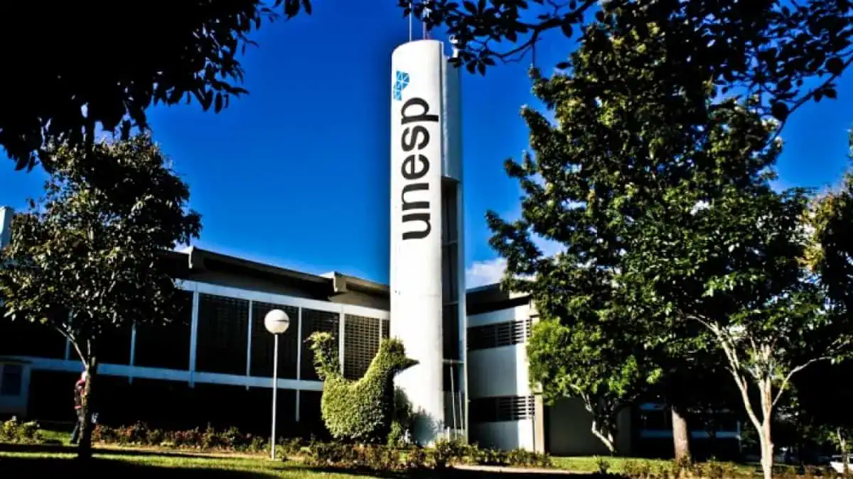 Reitora da Unesp reforça combate ao assédio após denúncia de estupro