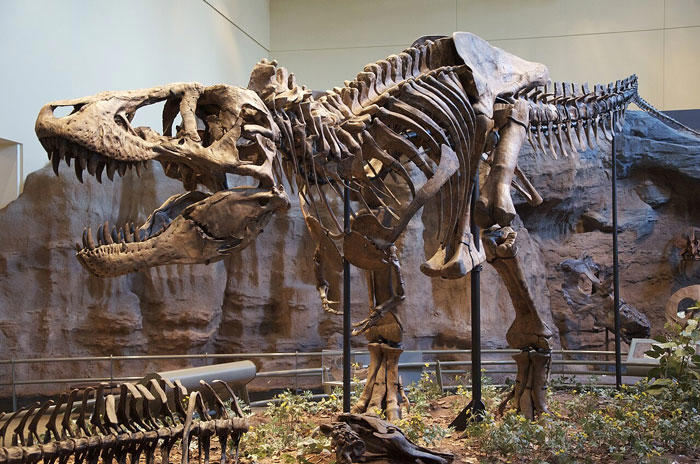 64 scary and depressing science facts you might wish you could forget