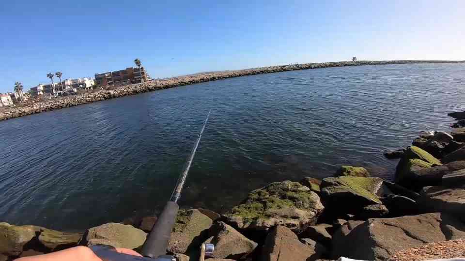 I never expected to find fishing like this in downtown Los Angeles