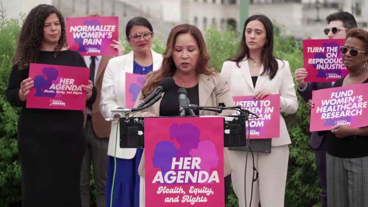 Democratic rep calls lack or reproductive health care leave 'economic ...