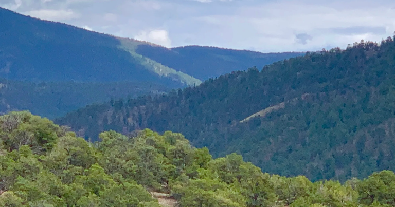 Skip the hike - this New Mexico mountain biking trail is even better