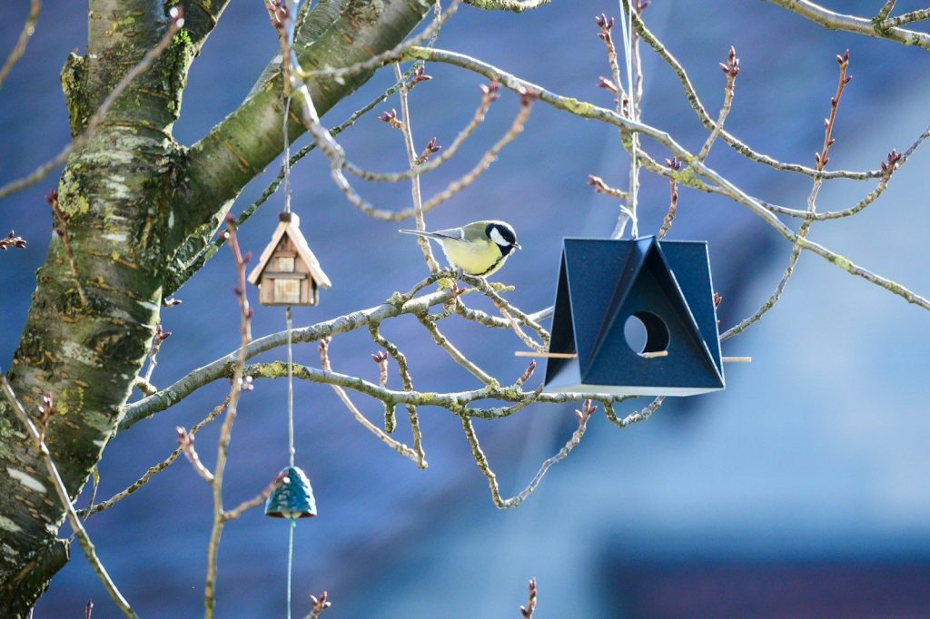 Why experts are warning people about bird feeders right now