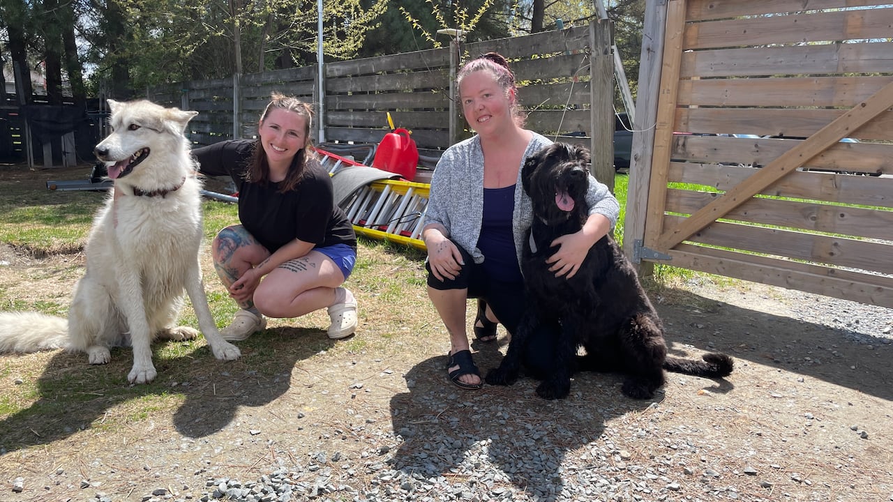 Ontario family fights to keep 'gentle giant' wolf-dog after seizure ...