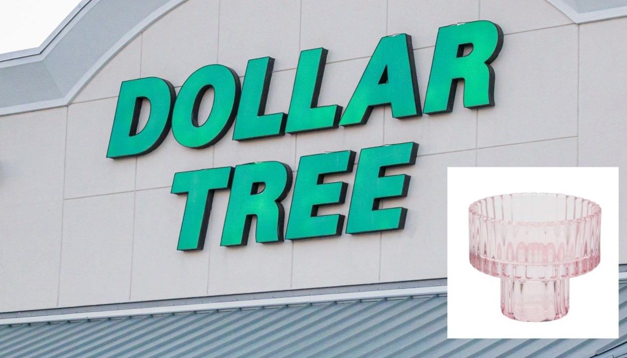 Dollar Tree Greta Gerwig aesthetic