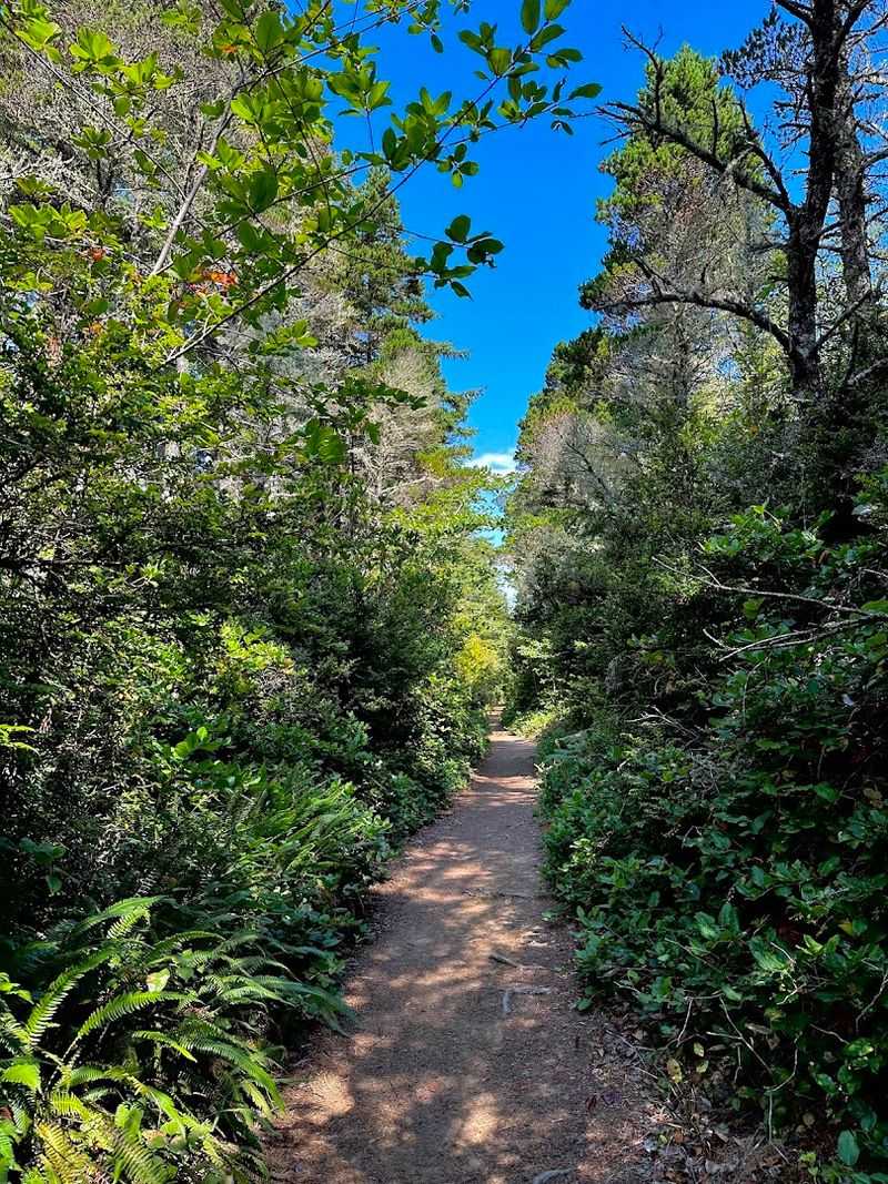 Oregon’s most underrated beach has black sand, sea caves, and almost ...