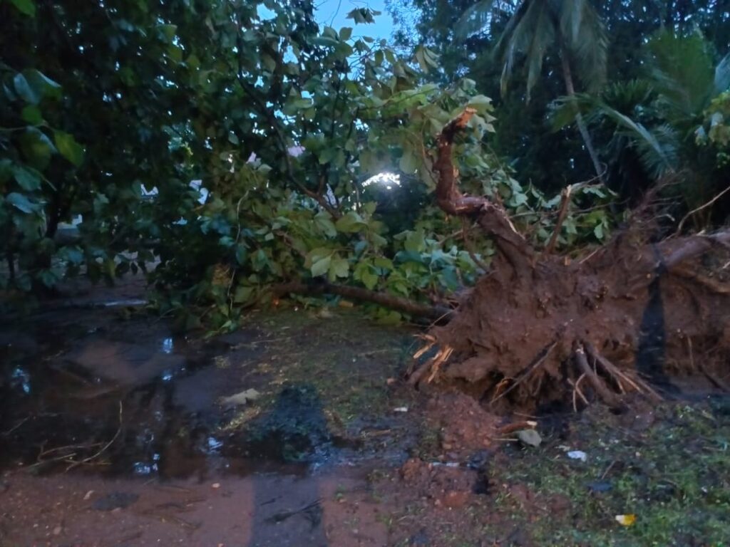 Severe rainstorm wreaks havoc at Adaklu Kodzobi Ando