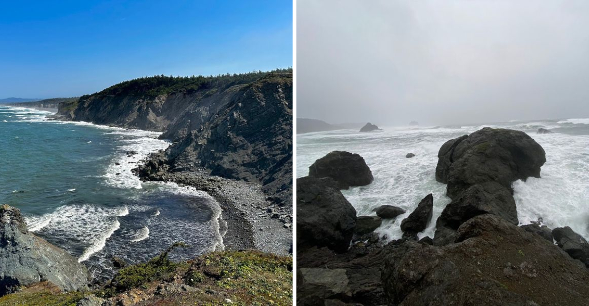 Oregon’s most underrated beach has black sand, sea caves, and almost ...