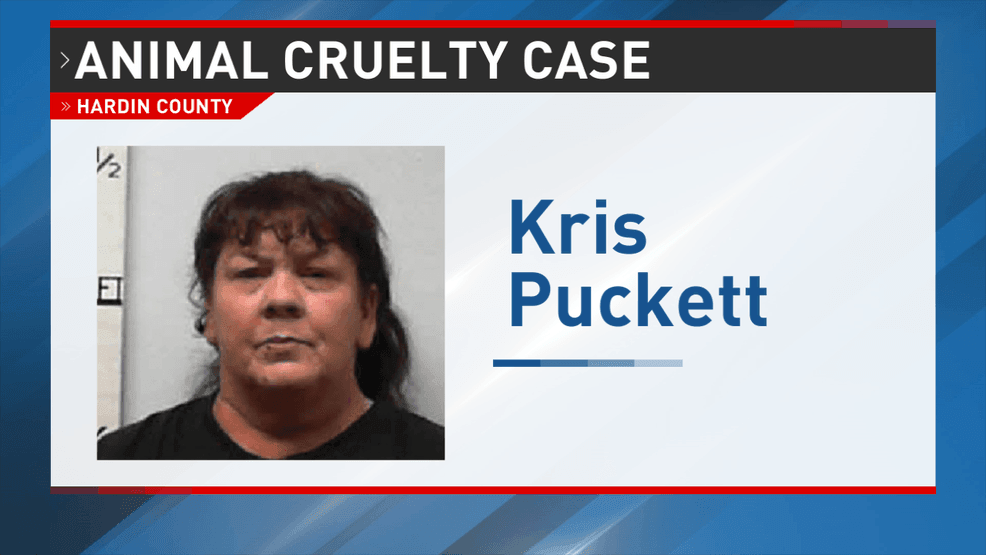 Affidavit: Emaciated dog found with chain around neck, fed ramen ...
