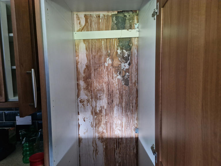 'It's unlivable': Edinburgh man says mouldy and damp-ridden council ...