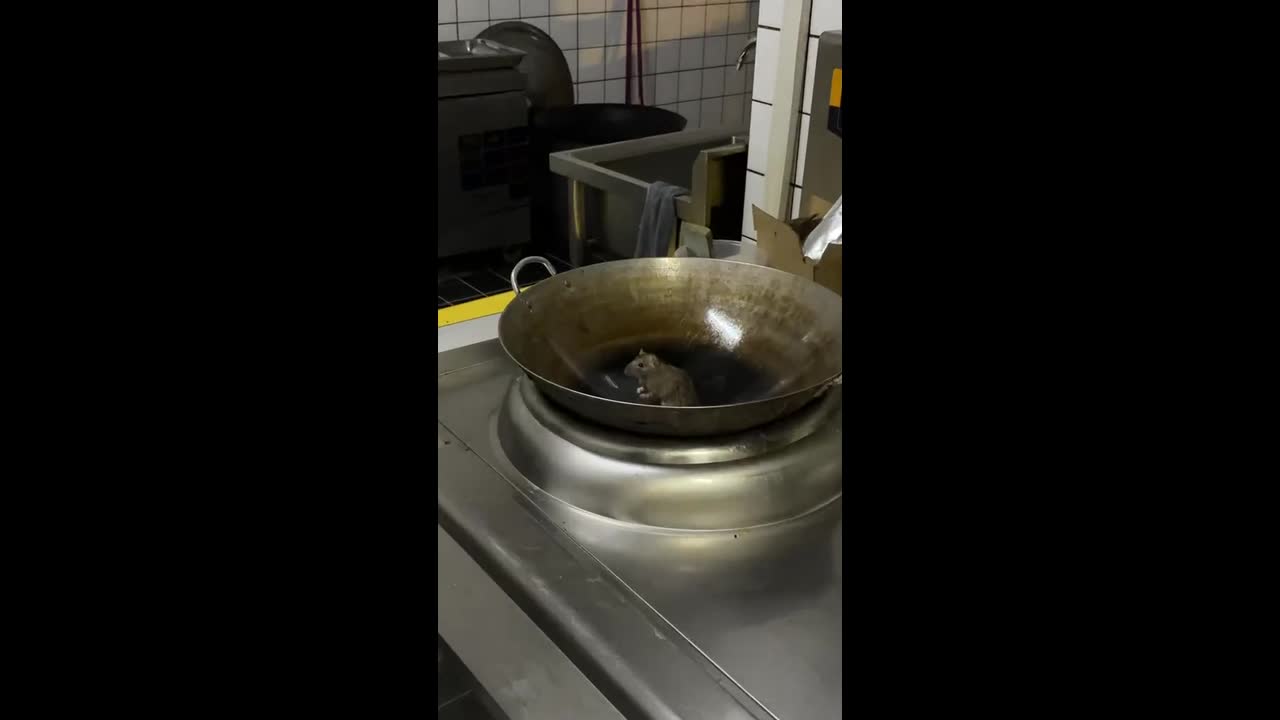 Mouse struggles to escape slippery wok in Jilin, China