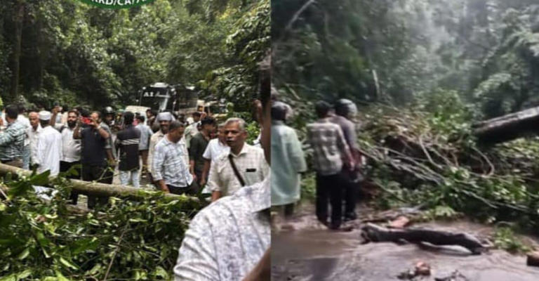 Tree fall amid heavy rain disrupts traffic on Wayanad Ghat Road