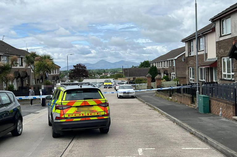 Breaking police officer seriously injured after being hit with stolen ...